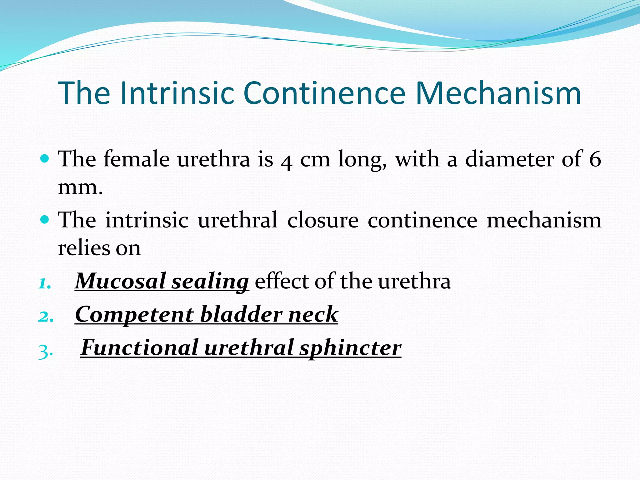 Female pelvic anatomy and urinary continence | PPT