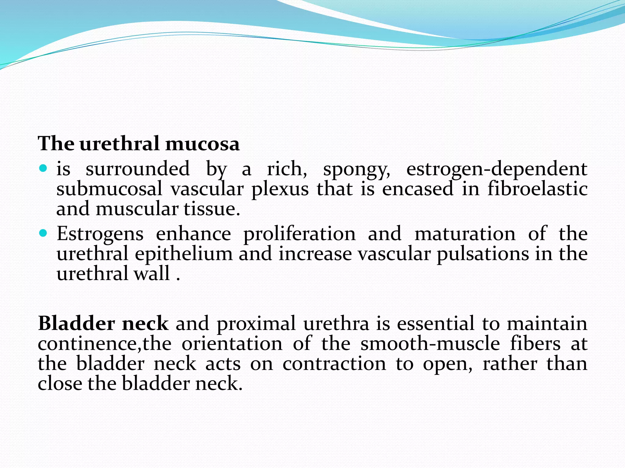Female pelvic anatomy and urinary continence | PPT