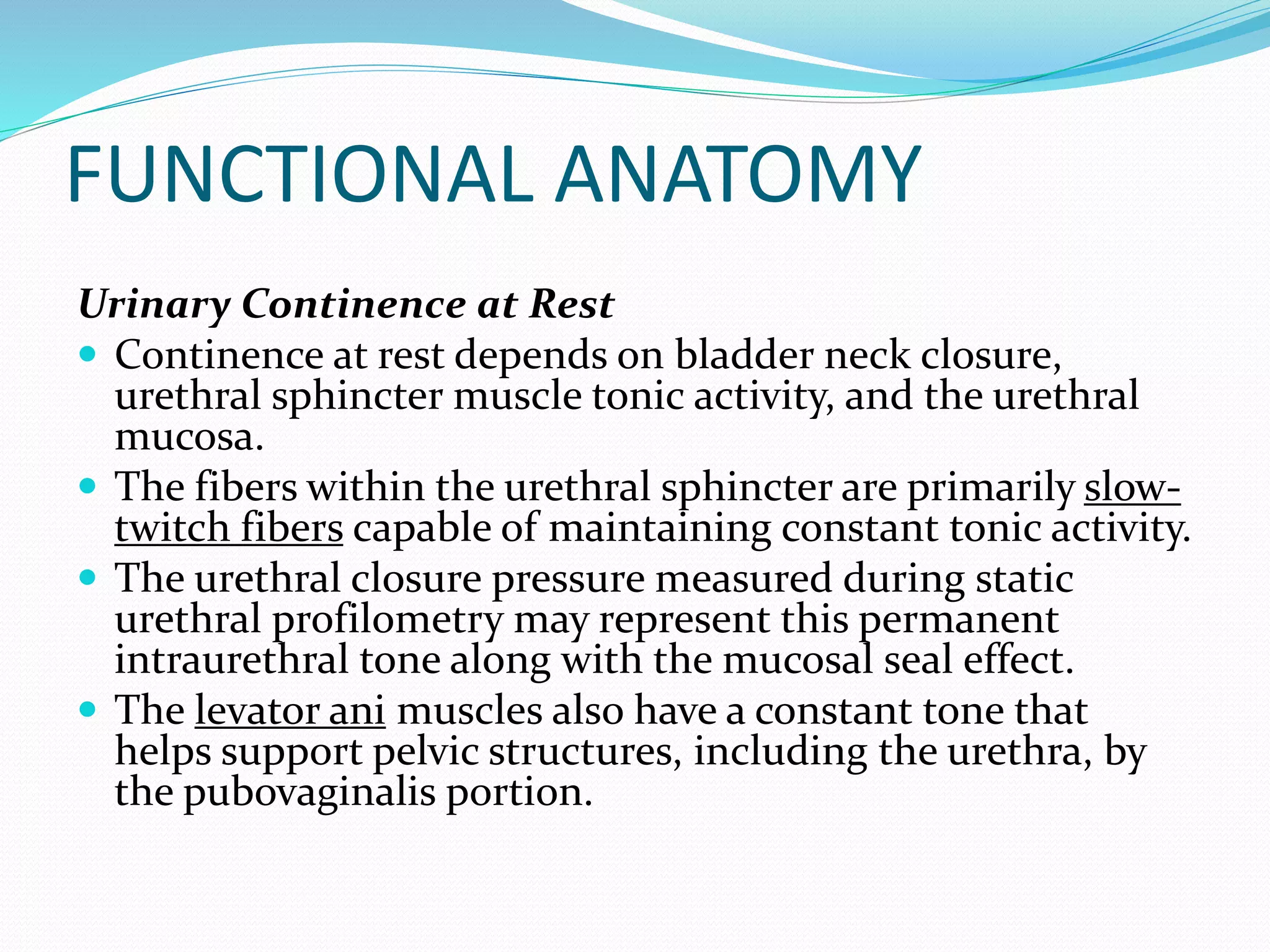 Female pelvic anatomy and urinary continence | PPT