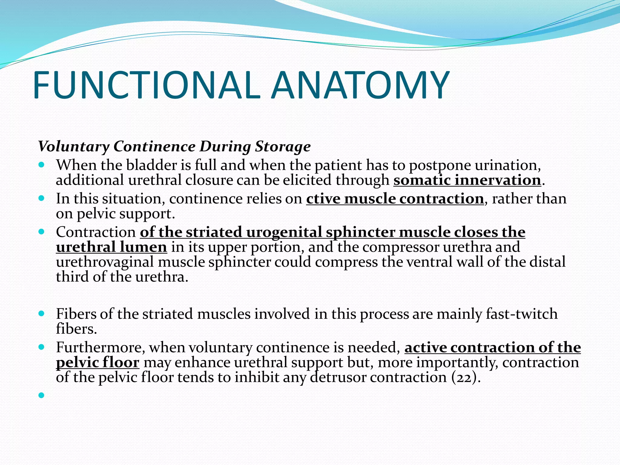 Female pelvic anatomy and urinary continence | PPT