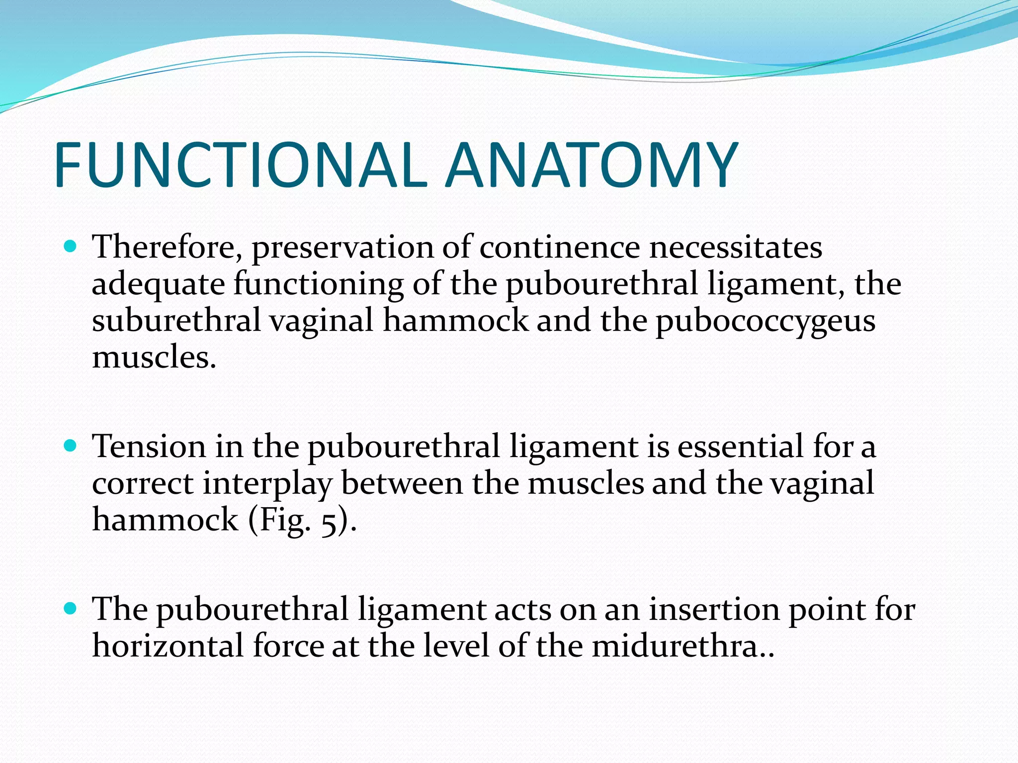 Female pelvic anatomy and urinary continence | PPT
