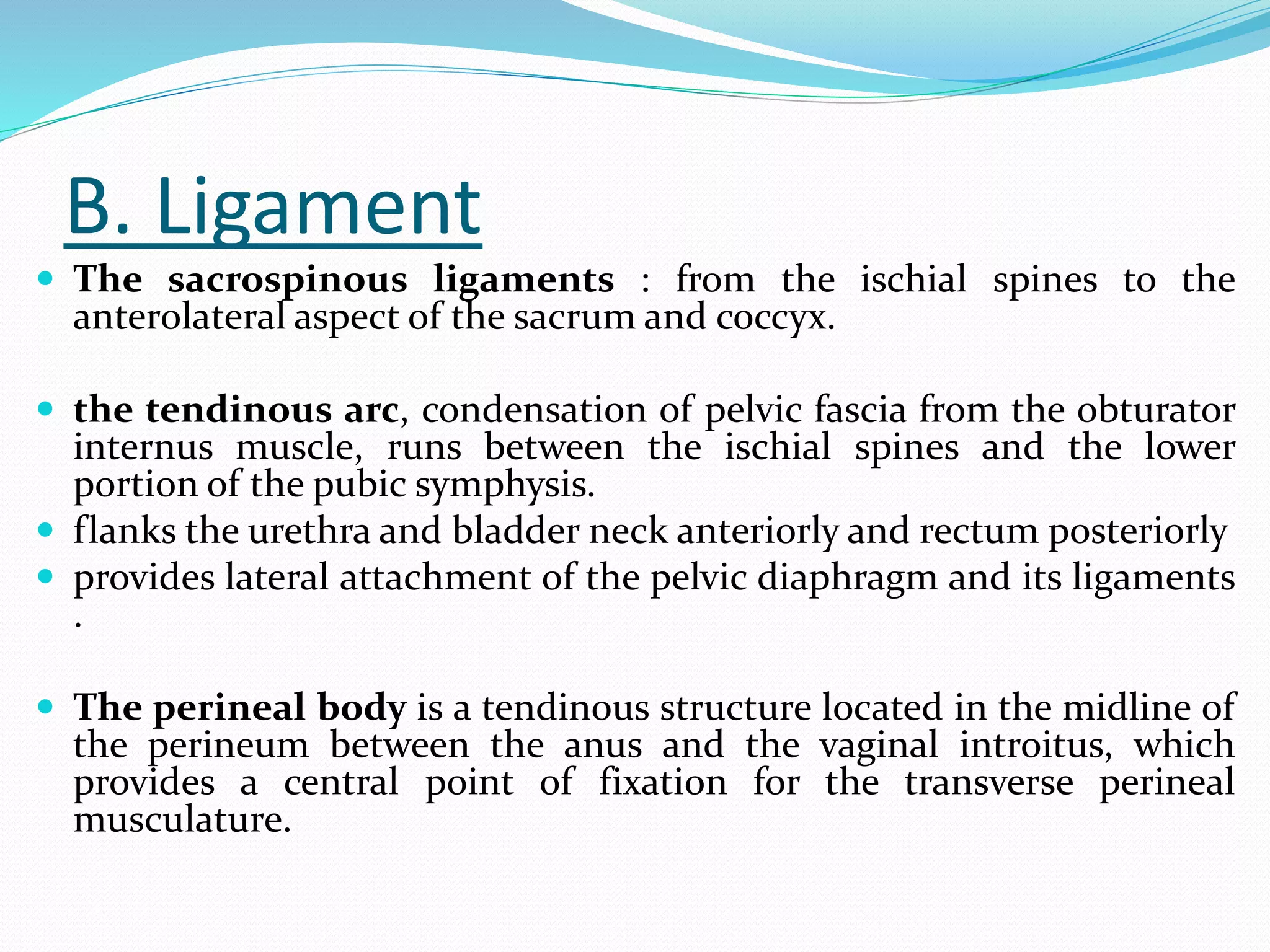 Female pelvic anatomy and urinary continence | PPT