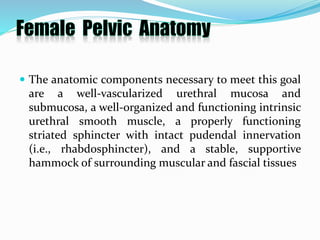 Female pelvic anatomy and urinary continence | PPTX