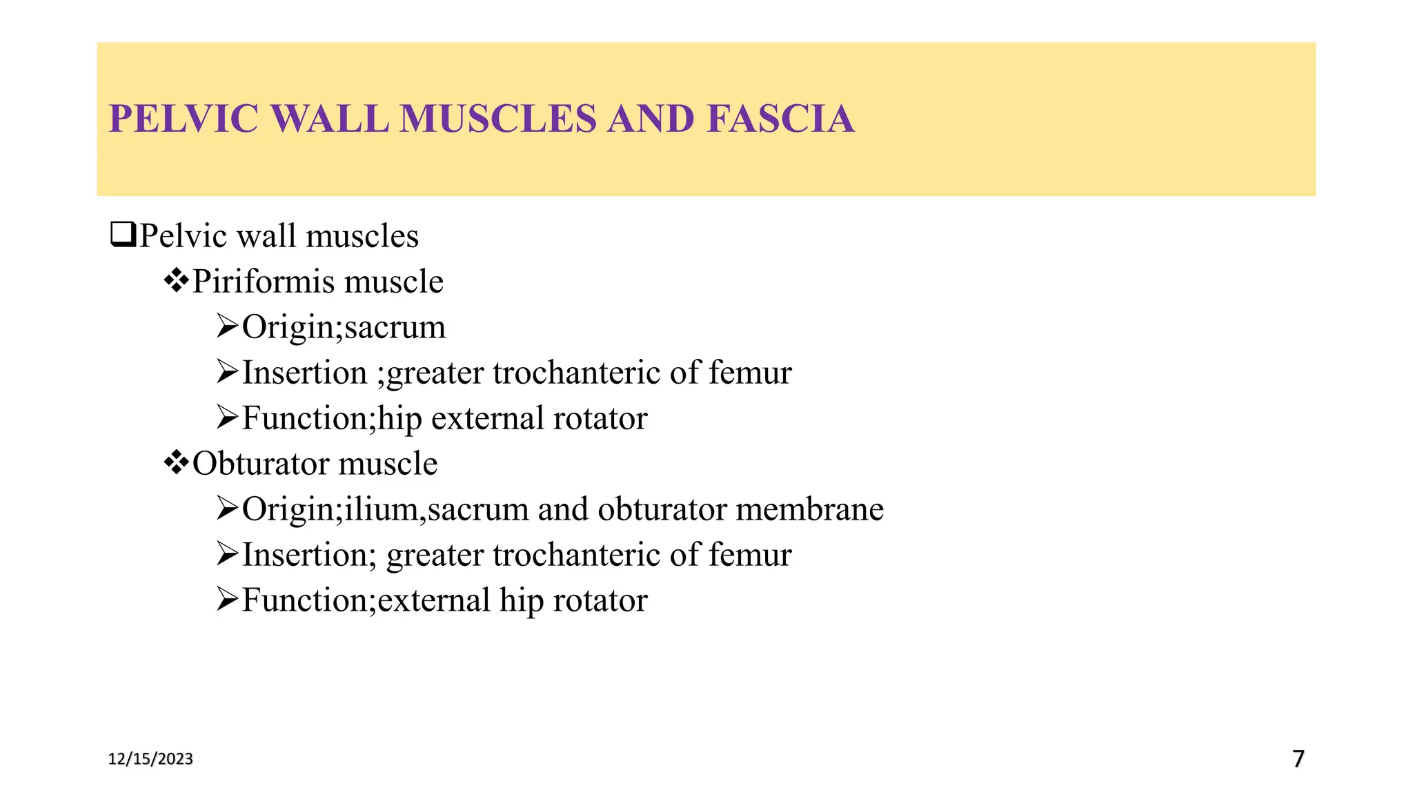 female pelvic anatomy.pptx