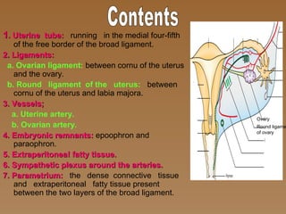 Anatomy of f emale pelvic organs.ppt