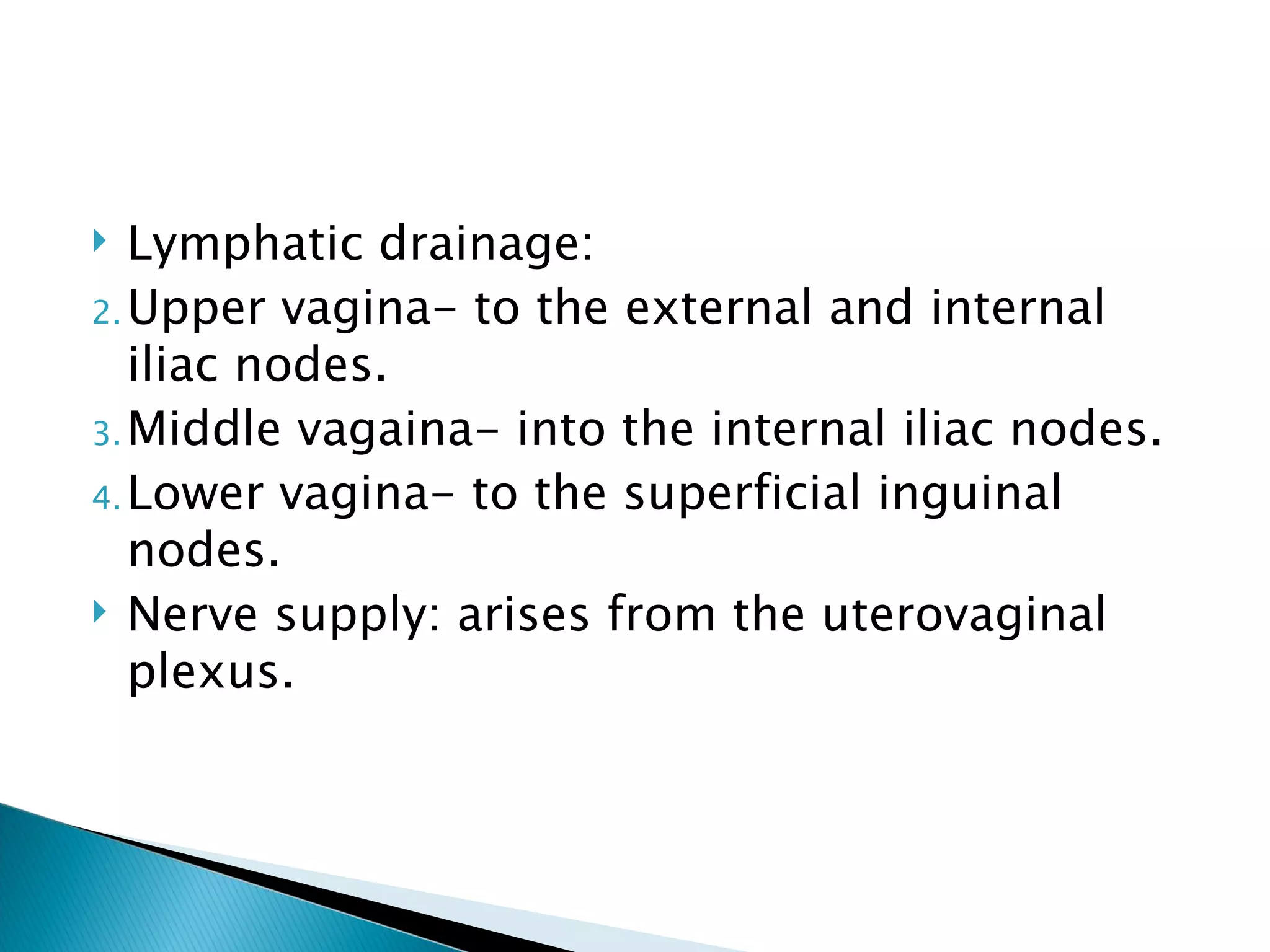 Female Pelvic Visceral Organs | PPT