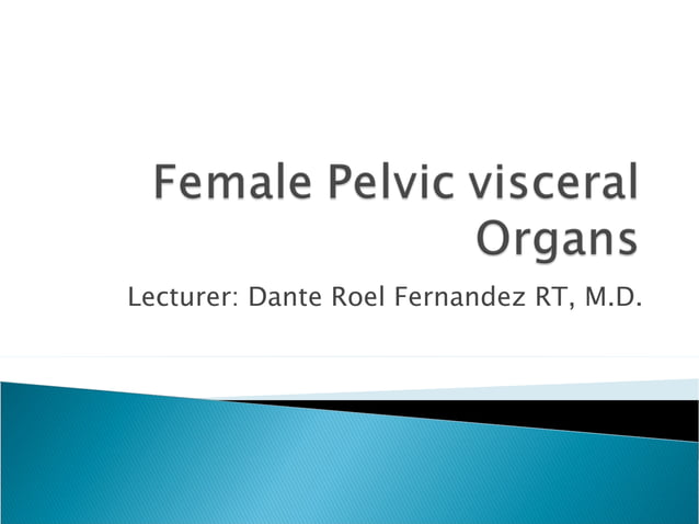 Female Pelvic Visceral Organs | PPT