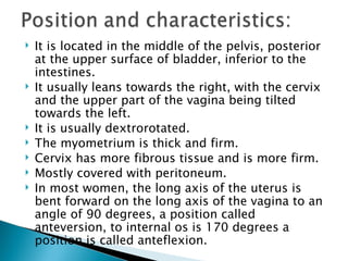 Female Pelvic Visceral Organs | PPT