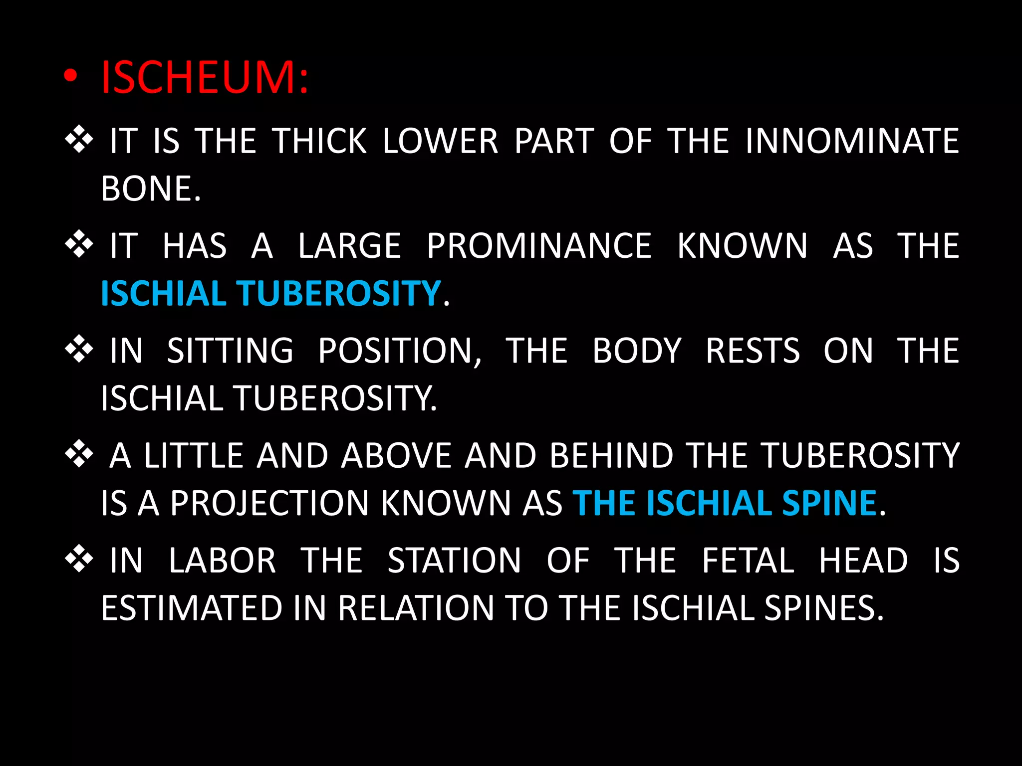 Female pelvis | PPTX