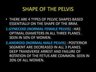 Female pelvis | PPTX