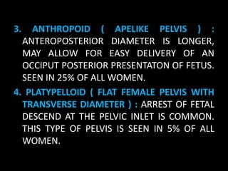 Female pelvis | PPTX