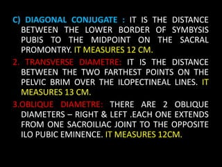 Female pelvis | PPTX
