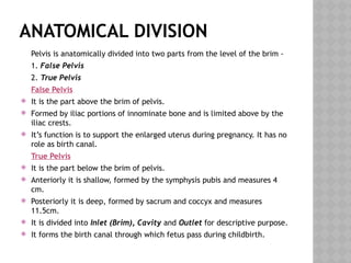 femalepelvis-200525102306.pptxvvvvvvvvvvv | PPT