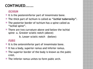 femalepelvis-200525102306.pptxvvvvvvvvvvv | PPT