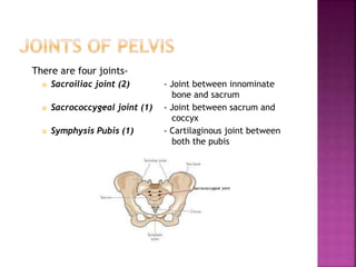 Female pelvis | PPTX