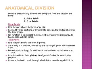 Female pelvis | PPTX