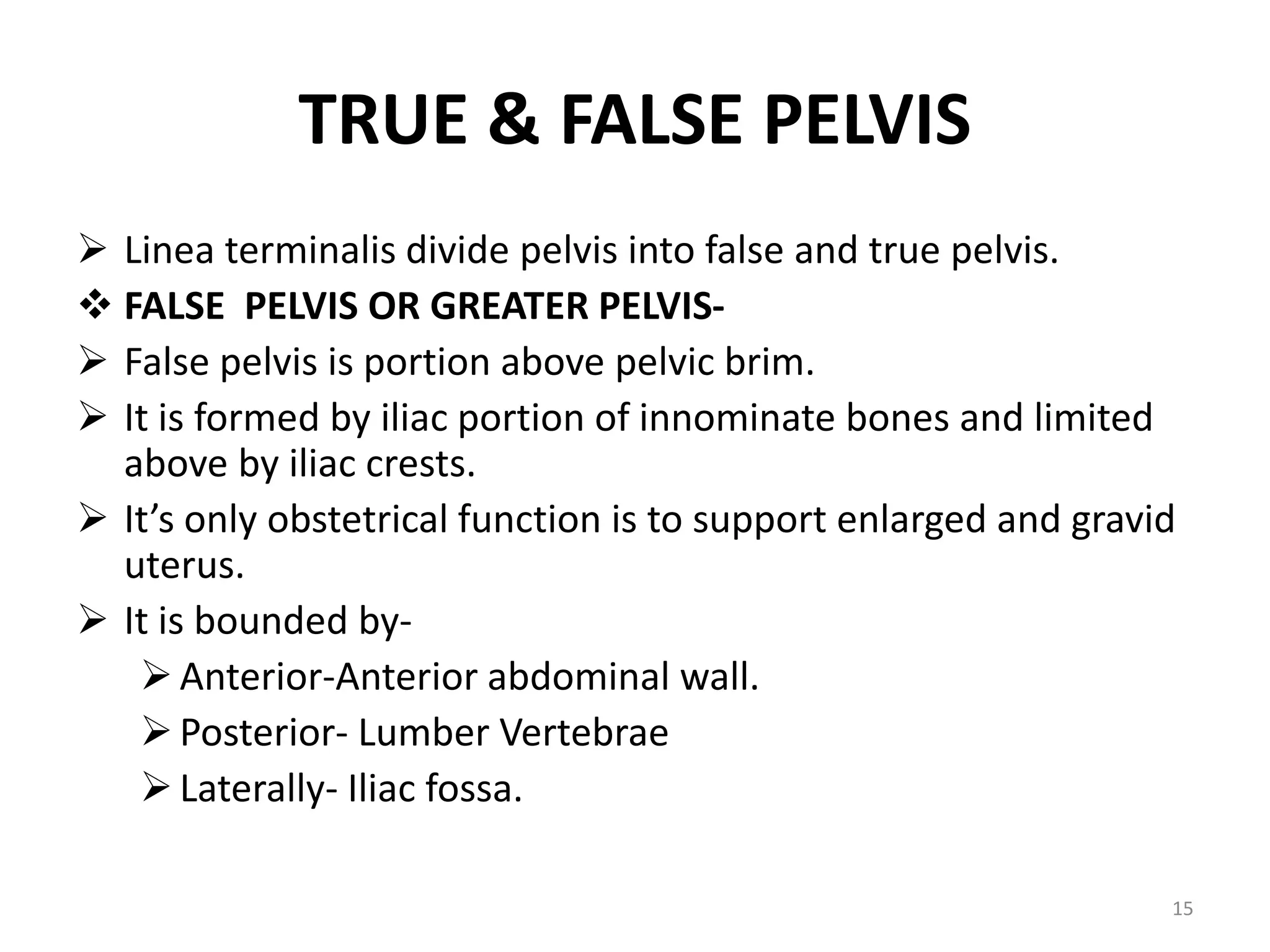 Female pelvis | PPTX