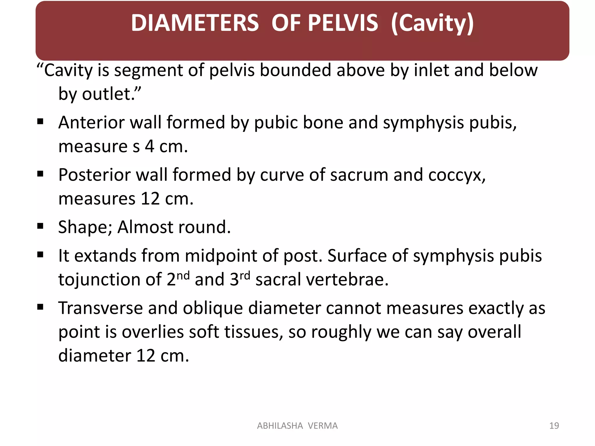 Female pelvis | PPTX