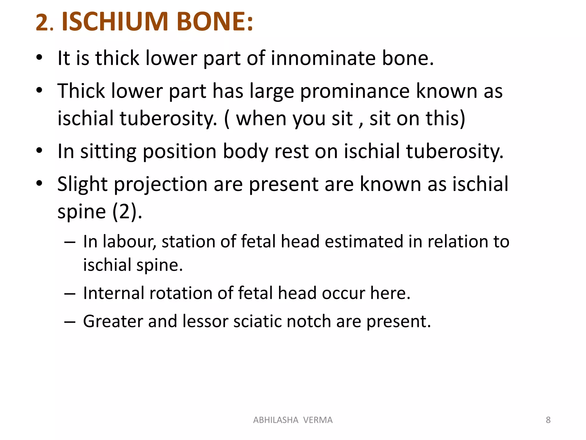 Female pelvis | PPTX
