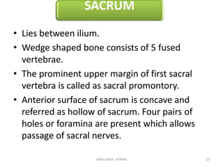 Female pelvis | PPTX