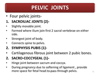 Female pelvis | PPTX