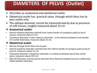 Female pelvis | PPTX