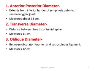 Female pelvis | PPTX