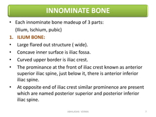 Female pelvis | PPTX