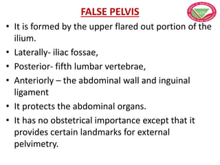 Female pelvis | PPTX