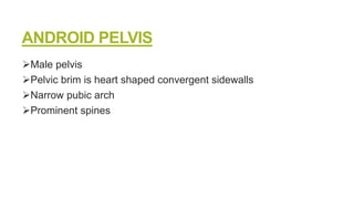Female pelvis | PPTX