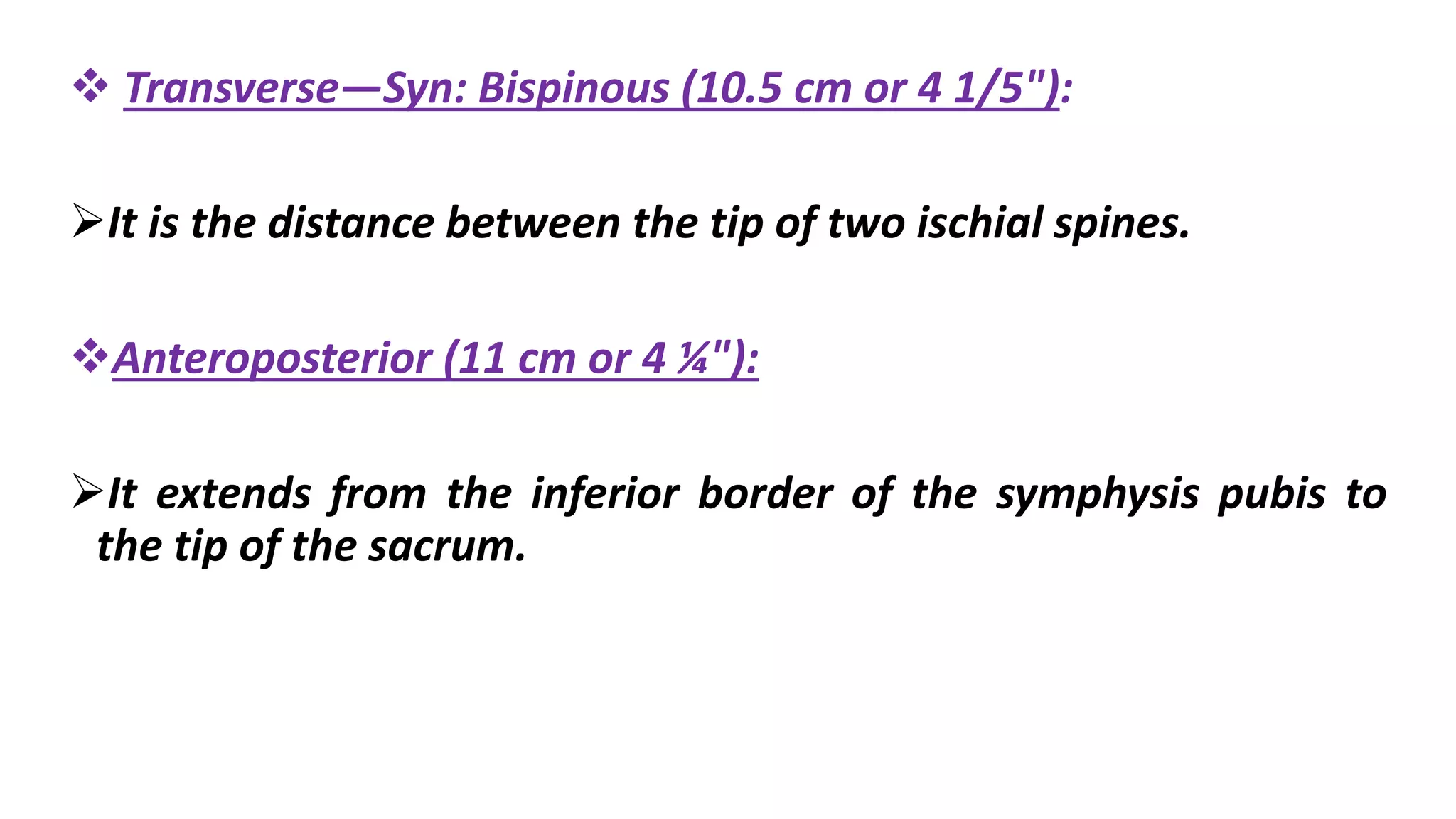 Female pelvis | PPTX