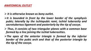 Female pelvis | PPTX