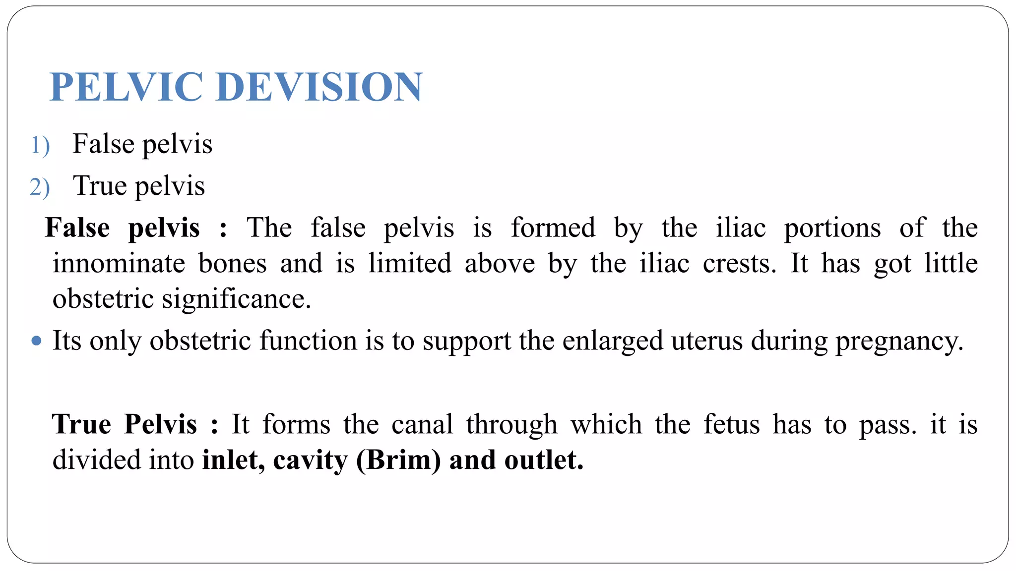 Female Pelvis | PPTX
