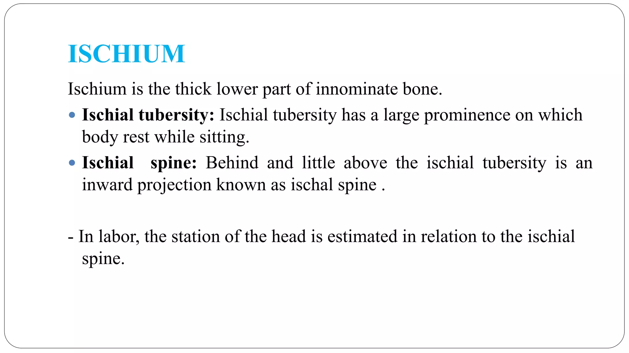 Female Pelvis | PPTX