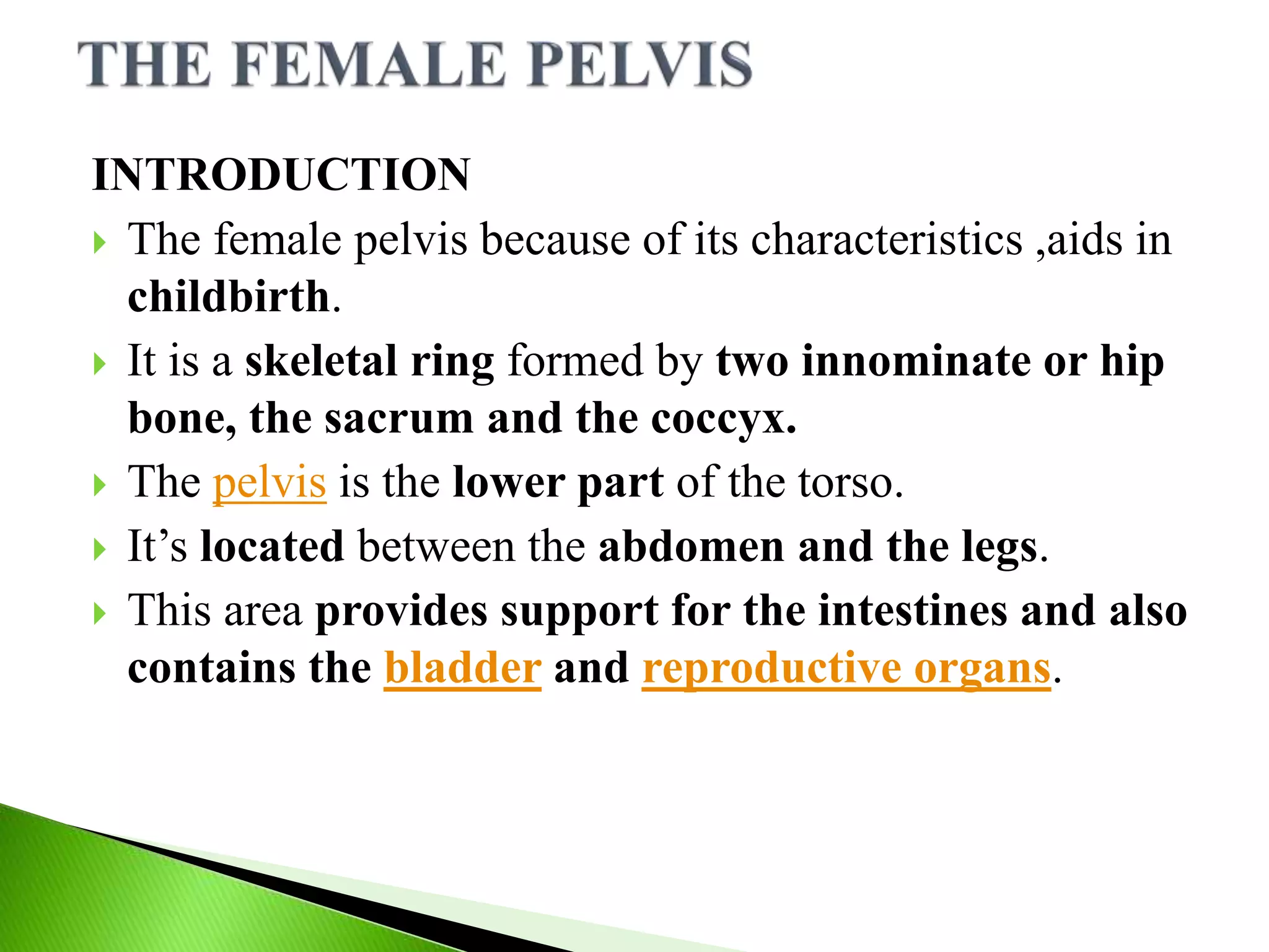 female pelvis.pptx