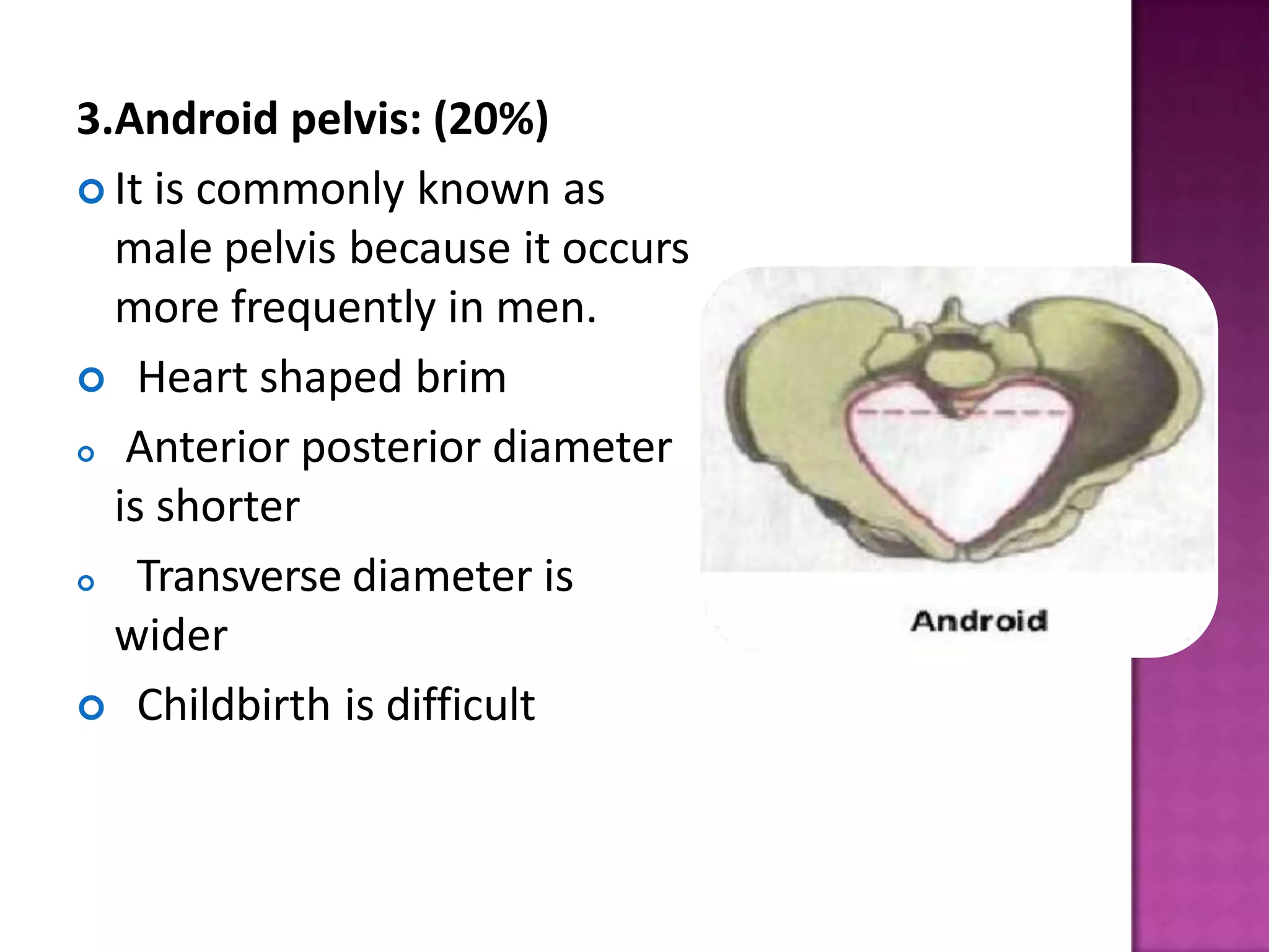 female pelvis.pptx