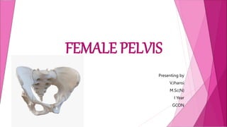 FEMALE PELVIS.pptx