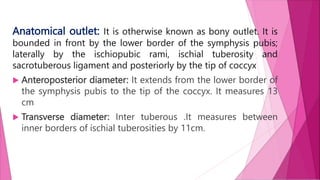 FEMALE PELVIS.pptx | Pregnancy | Reproductive Health