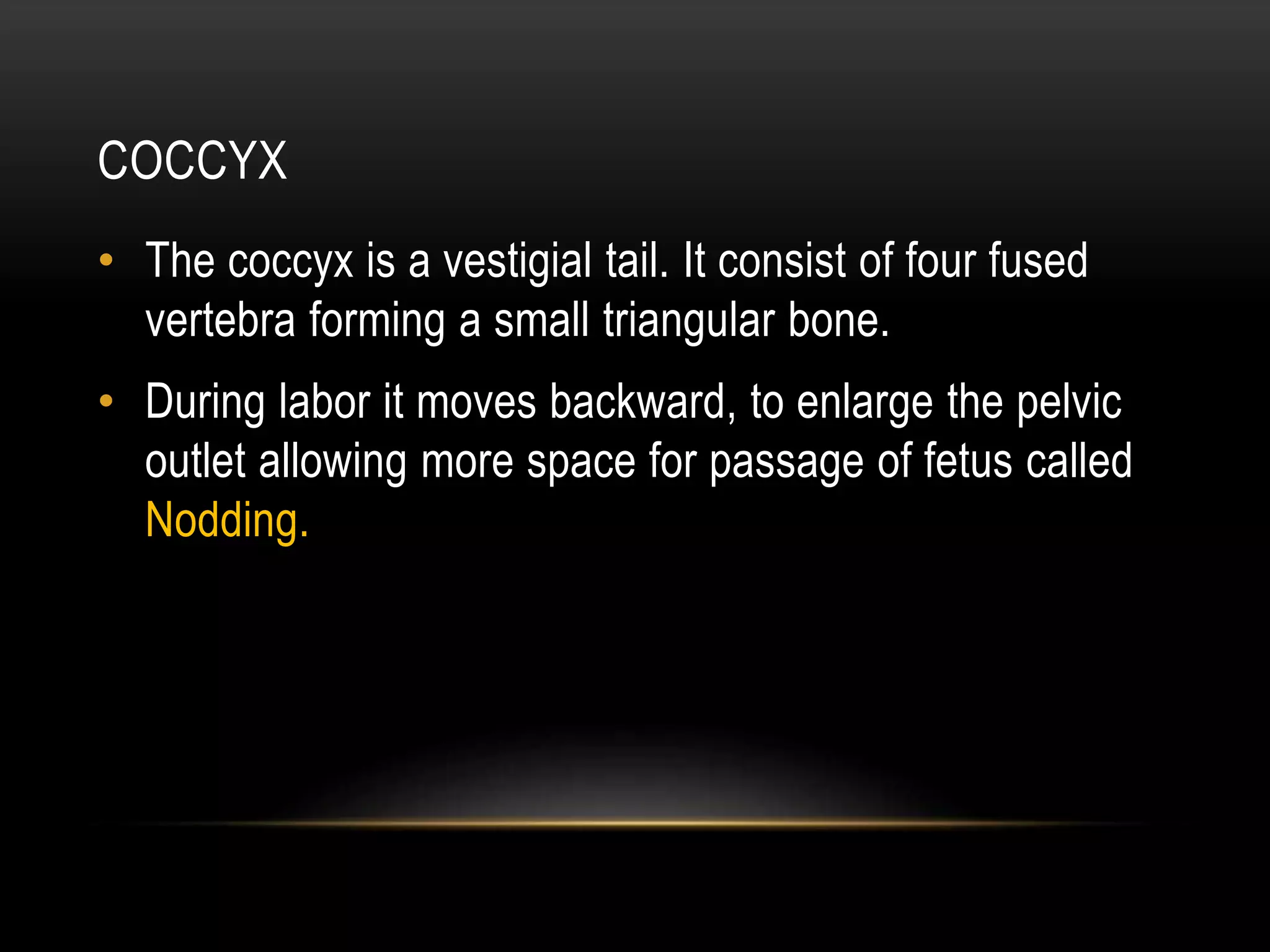 Female pelvis.pptx
