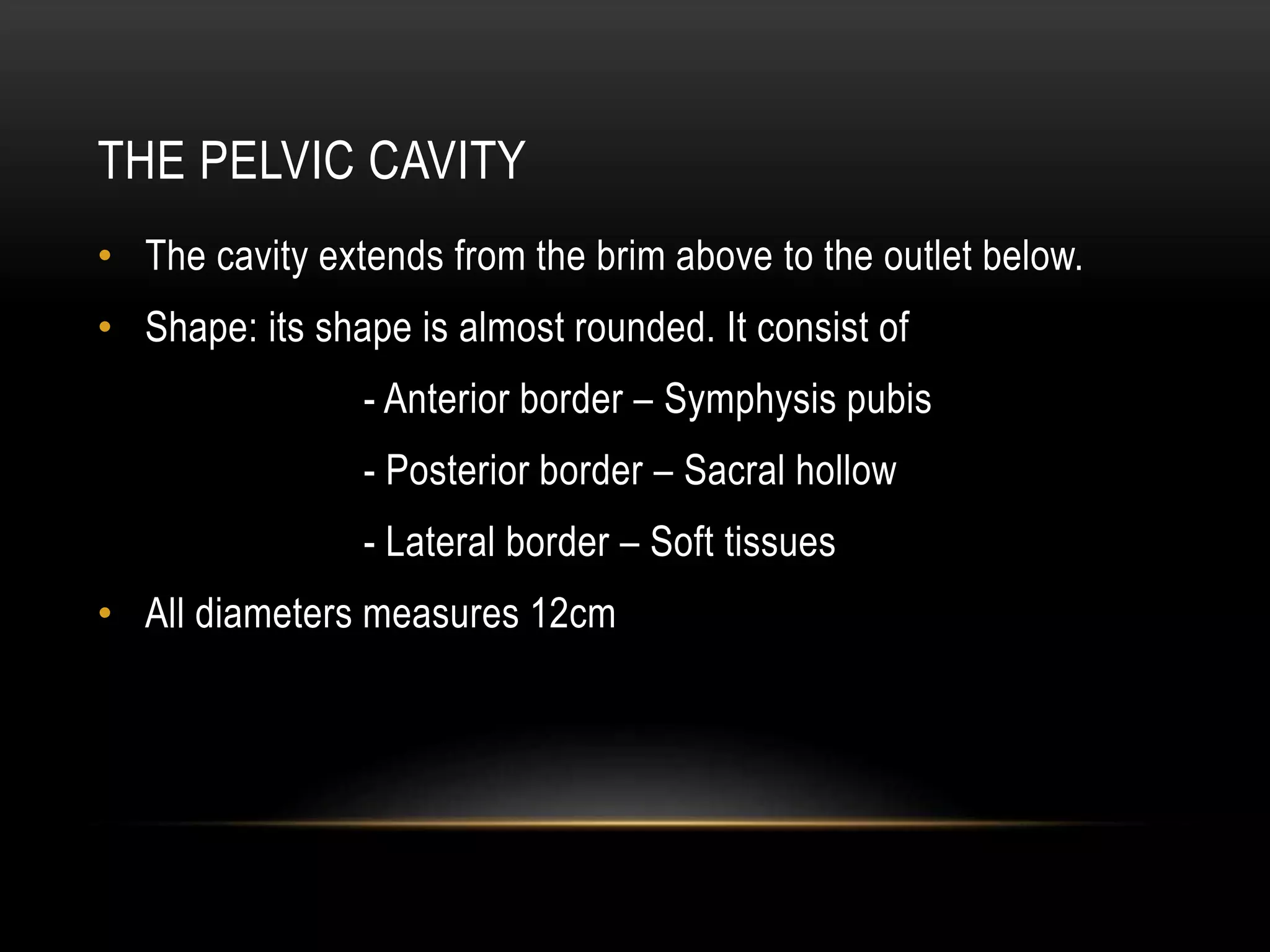 Female pelvis.pptx