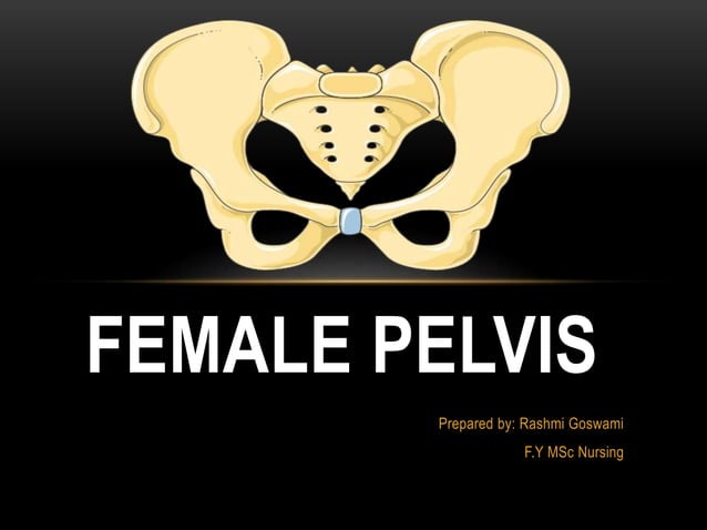 Female pelvis.pptx