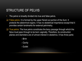 Female pelvis.pptx