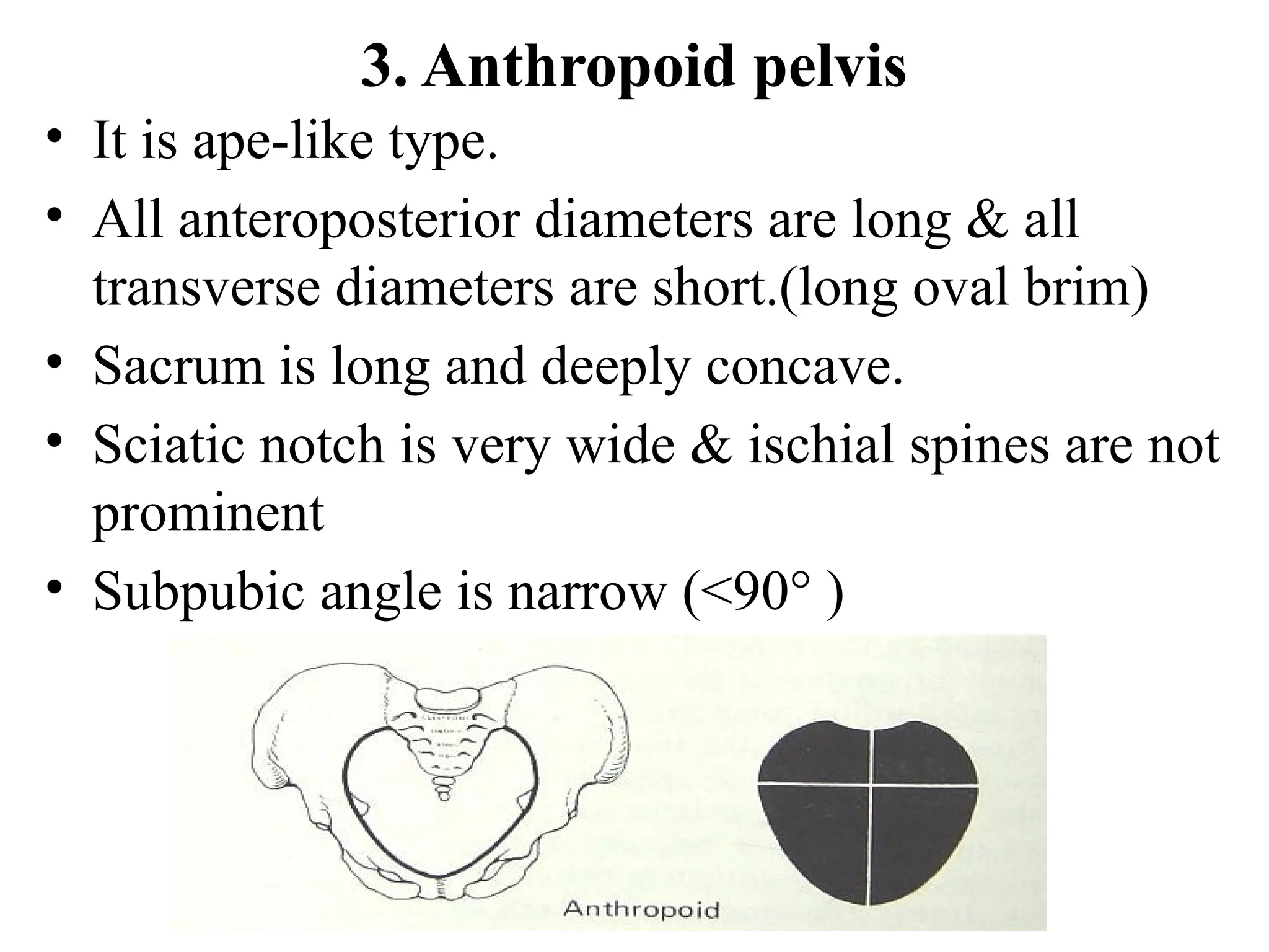 FEMALE PELVIS. Midwifery and obstetrical nursing.pptx