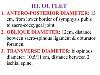 FEMALE PELVIS. Midwifery and obstetrical nursing.pptx