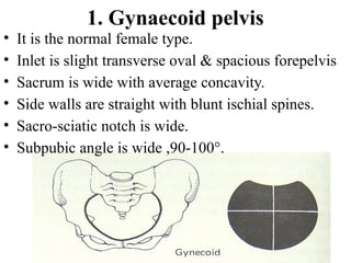 FEMALE PELVIS. Midwifery and obstetrical nursing.pptx