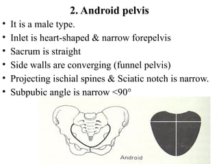 FEMALE PELVIS. Midwifery and obstetrical nursing.pptx