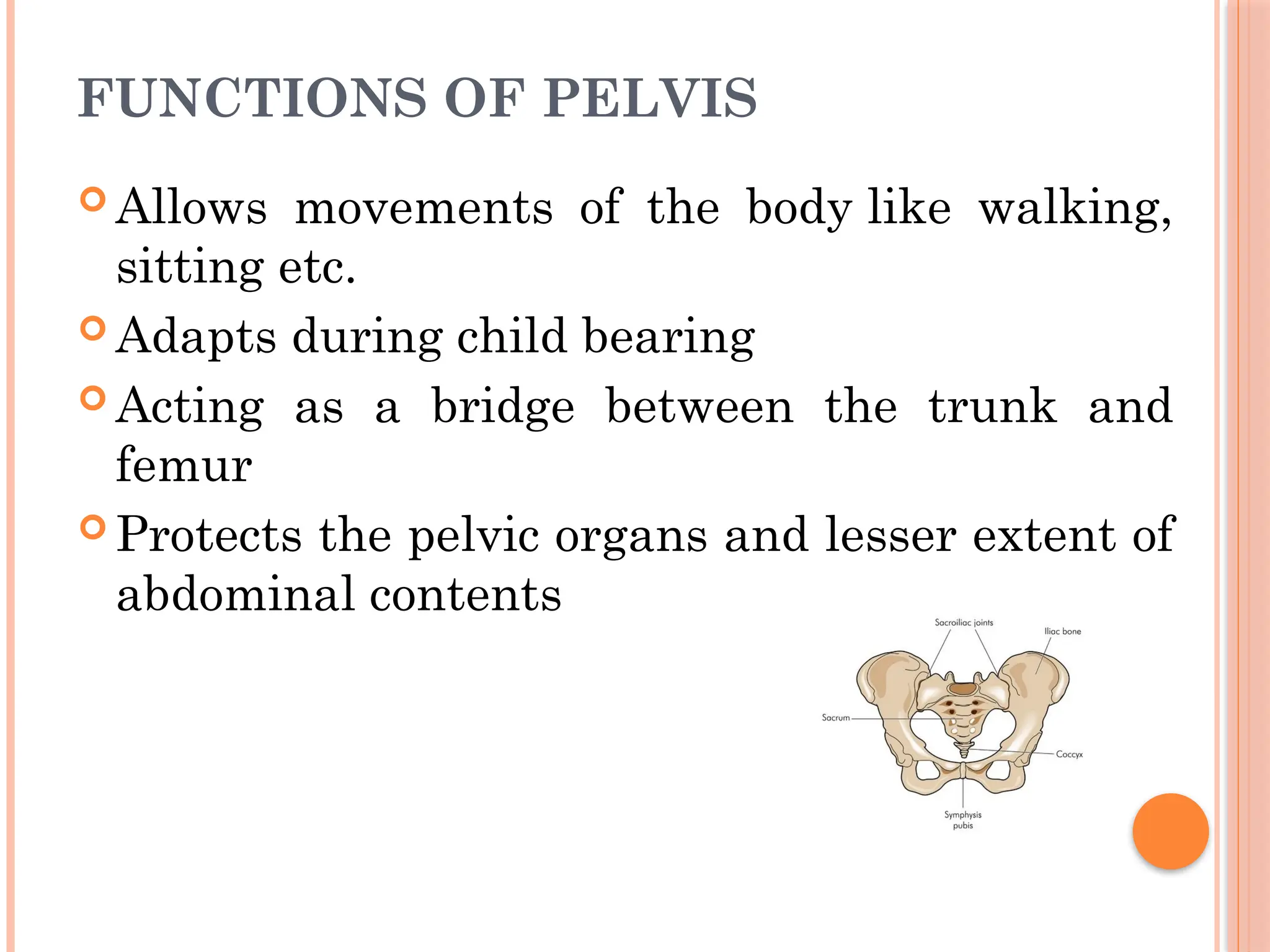 FEMALE PELVIS FOR B.SC NURSING STUDENT. | PPTX
