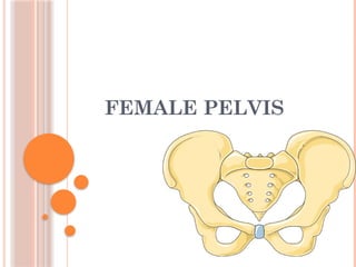 FEMALE PELVIS FOR B.SC NURSING STUDENT. | PPTX