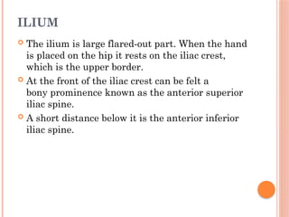 FEMALE PELVIS FOR B.SC NURSING STUDENT. | PPTX