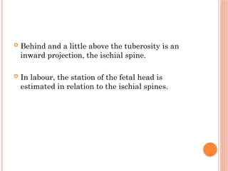 FEMALE PELVIS FOR B.SC NURSING STUDENT. | PPTX